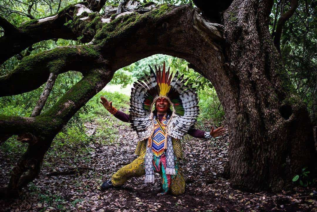 Jiboiana : le serpent ancestral de l'Amazonie – Entretien avec Leo ...